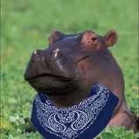 Disqus Profile - disqus_glLsdUMcR3