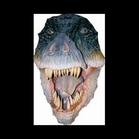 Disqus Profile - disqus_1pYuHctBUa