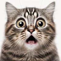 Disqus Profile - disqus_9rFNuDNkPT