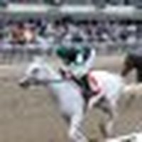 Disqus Profile - disqus_vce1DU3XZE